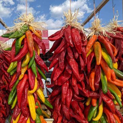 All About Chile Ristras - Farmers Chile Market