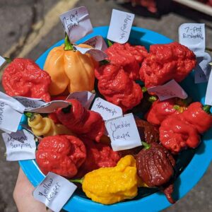 About Superhot Chile Peppers - Farmers Chile Market