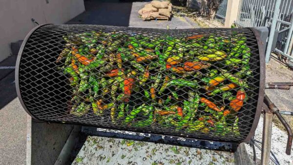 The Hatch Chile Season - Farmers Chile Market
