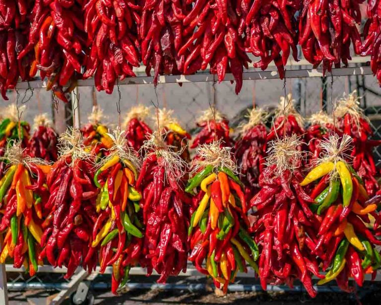 12" Red Chile Ristra - Farmers Chile Market