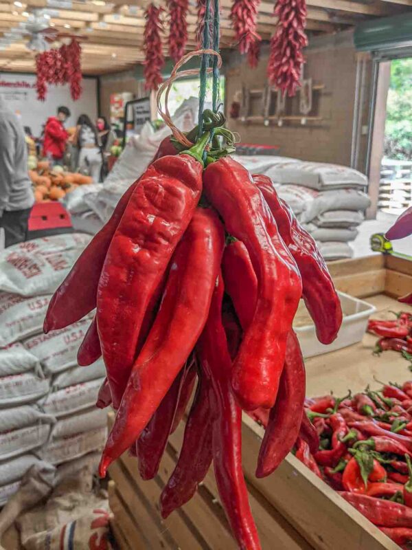 All About Chile Ristras - Farmers Chile Market