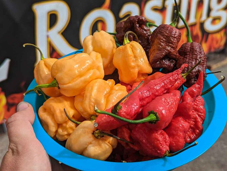 About Superhot Chile Peppers - Farmers Chile Market