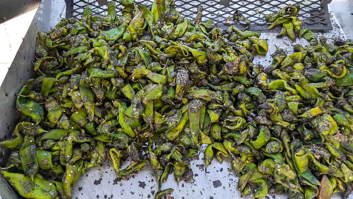 The Gentle Giant: All About the Big Jim Chile Pepper - Farmers Chile Market
